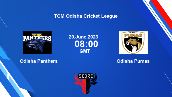 ODPA vs ODPU live score, Odisha Panthers vs Odisha Pumas Cricket Match ...